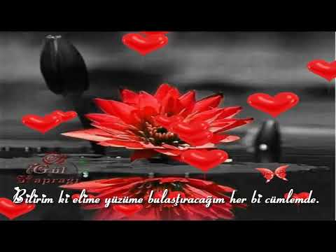 Sol Yanımın Sahibi | 14 Şubat Sevgililer Gününe Özel Şiir