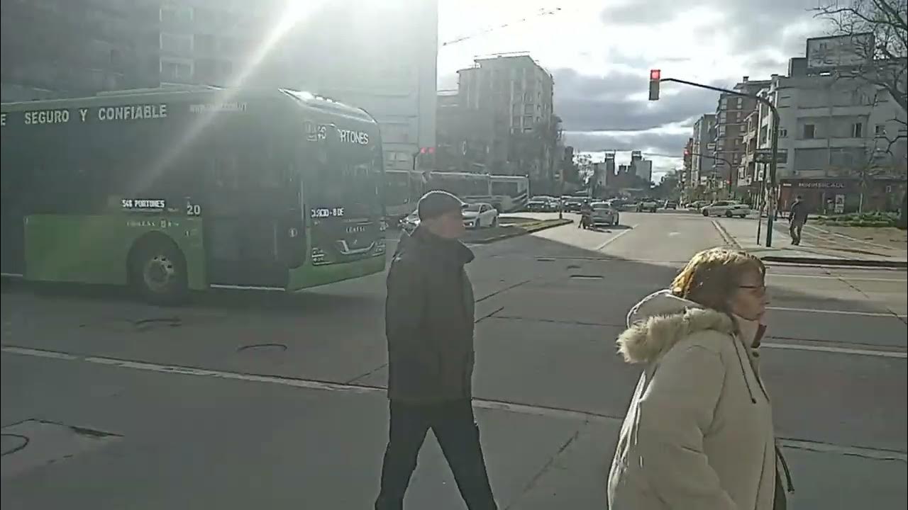 Yutong E12 Pro en Comesa n- 20 por la 546 mano Portones y Ucot Coetc Yutong s varios BYD ...