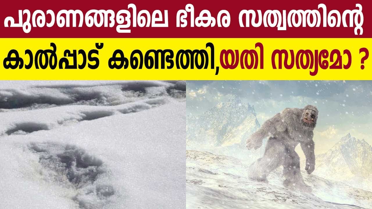 History of the Yeti: Is the Indian 'Bigfoot' just a 'Himalayan Legend ...