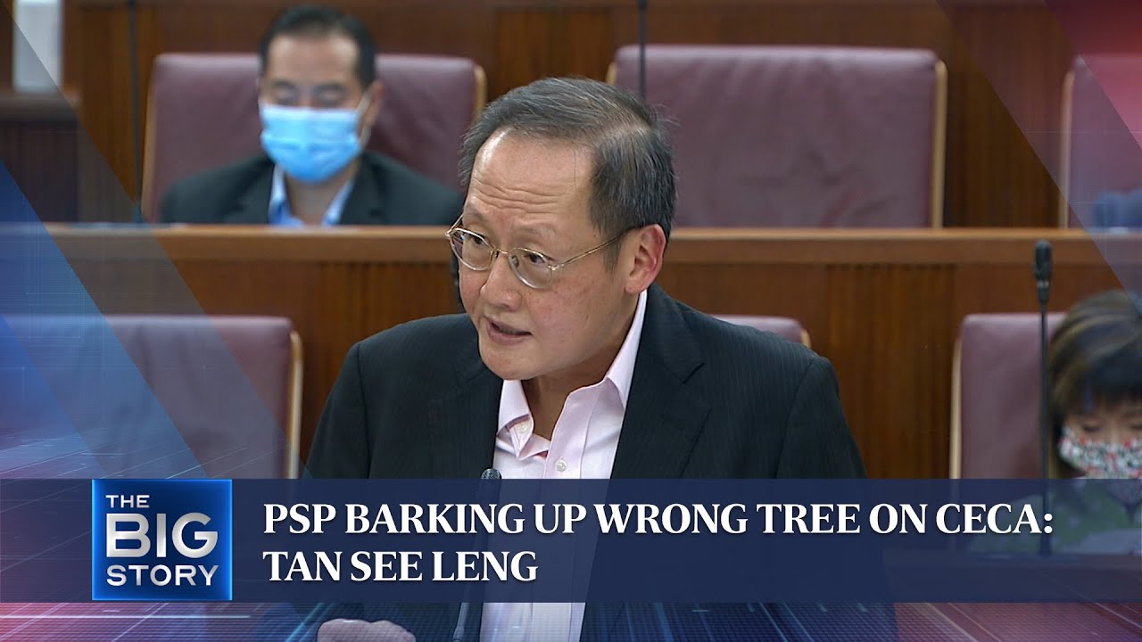 PSP barking up wrong tree by making Ceca focus of contention, says Tan ...
