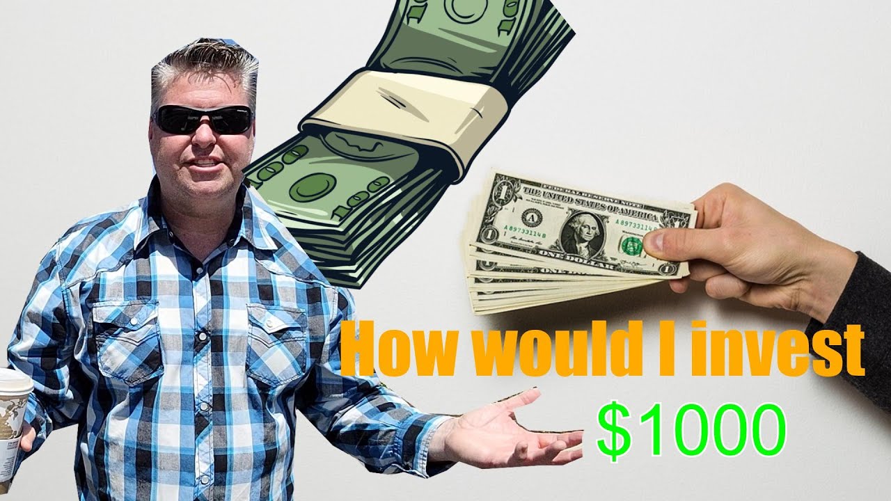 How would I invest $1000 according to The Economic Ninja - YouTube
