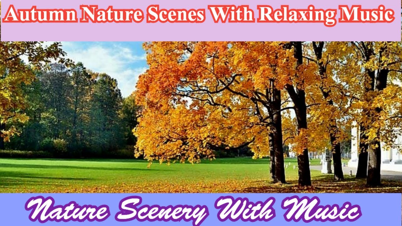 Autumn Nature Scenes With Relaxing Music || Nature Scenery With Music ...