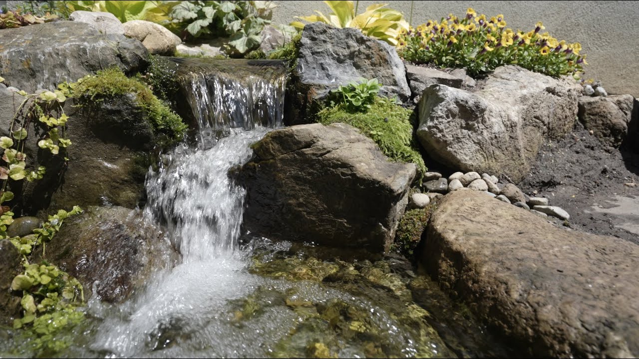 Architect's Masterpiece Unveiled: Transforming Dreams into Reality with ...