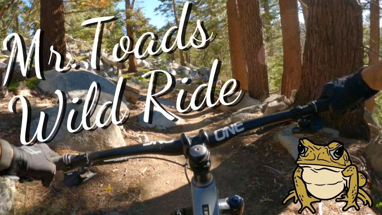 Mountain biking Mr.Toads Wild Ride in South Lake Tahoe, Ca. - YouTube