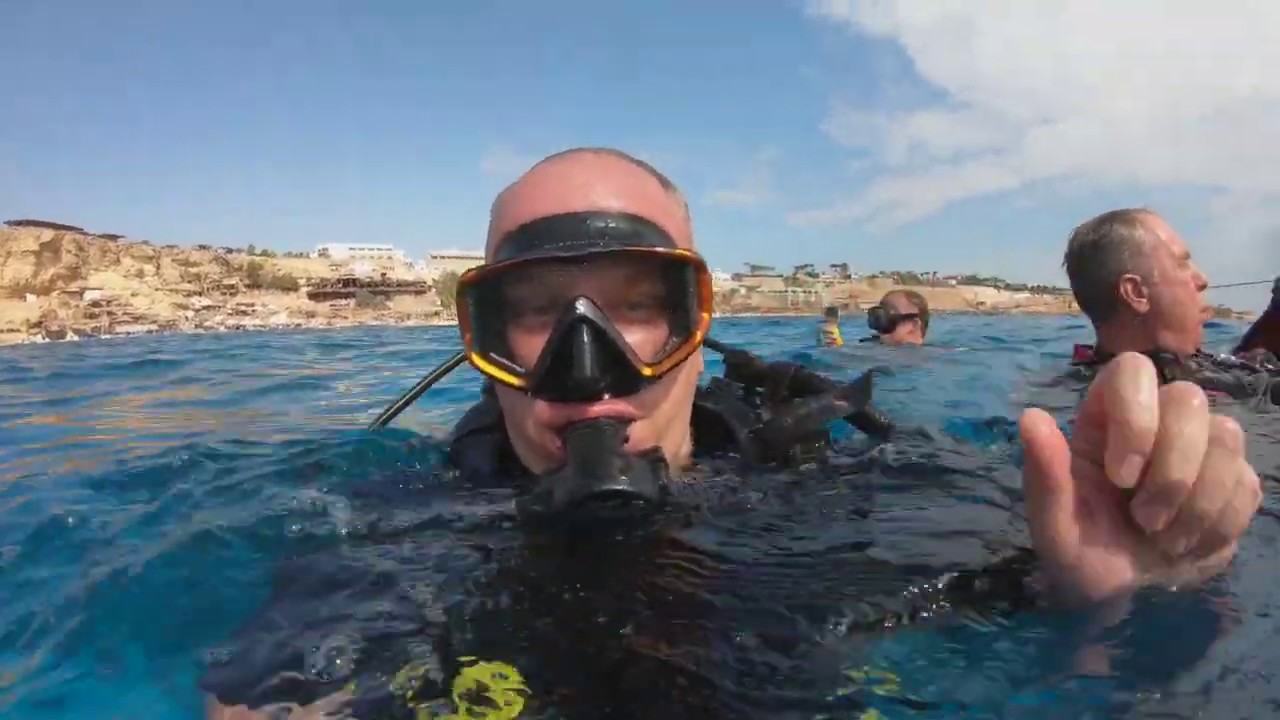 Diving. Sharm El Sheikh Nov 2019 - YouTube