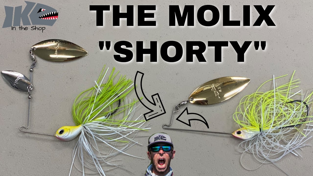 BRAND NEW MOLIX SHORT ARM SPINNERBAIT! 2021 - YouTube