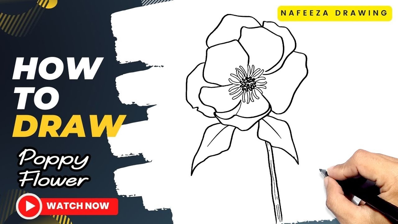 How to draw Poppy Flower - YouTube