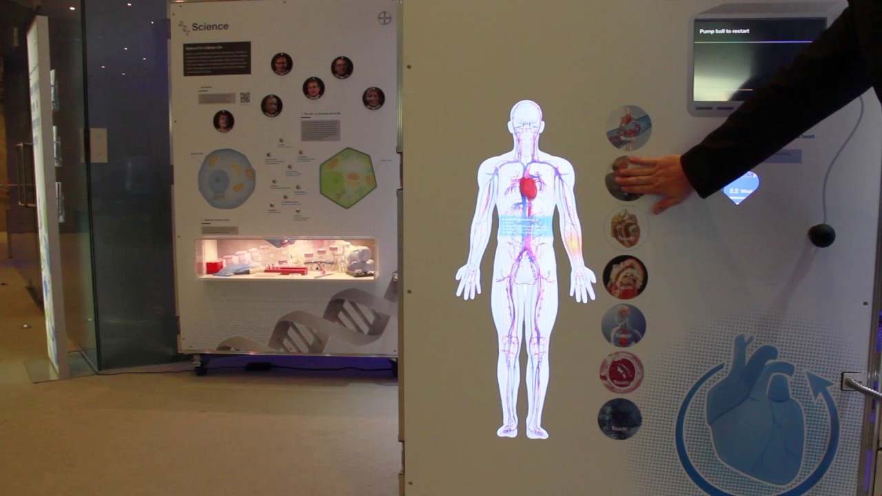 Bayer Cardiovascular System - YouTube