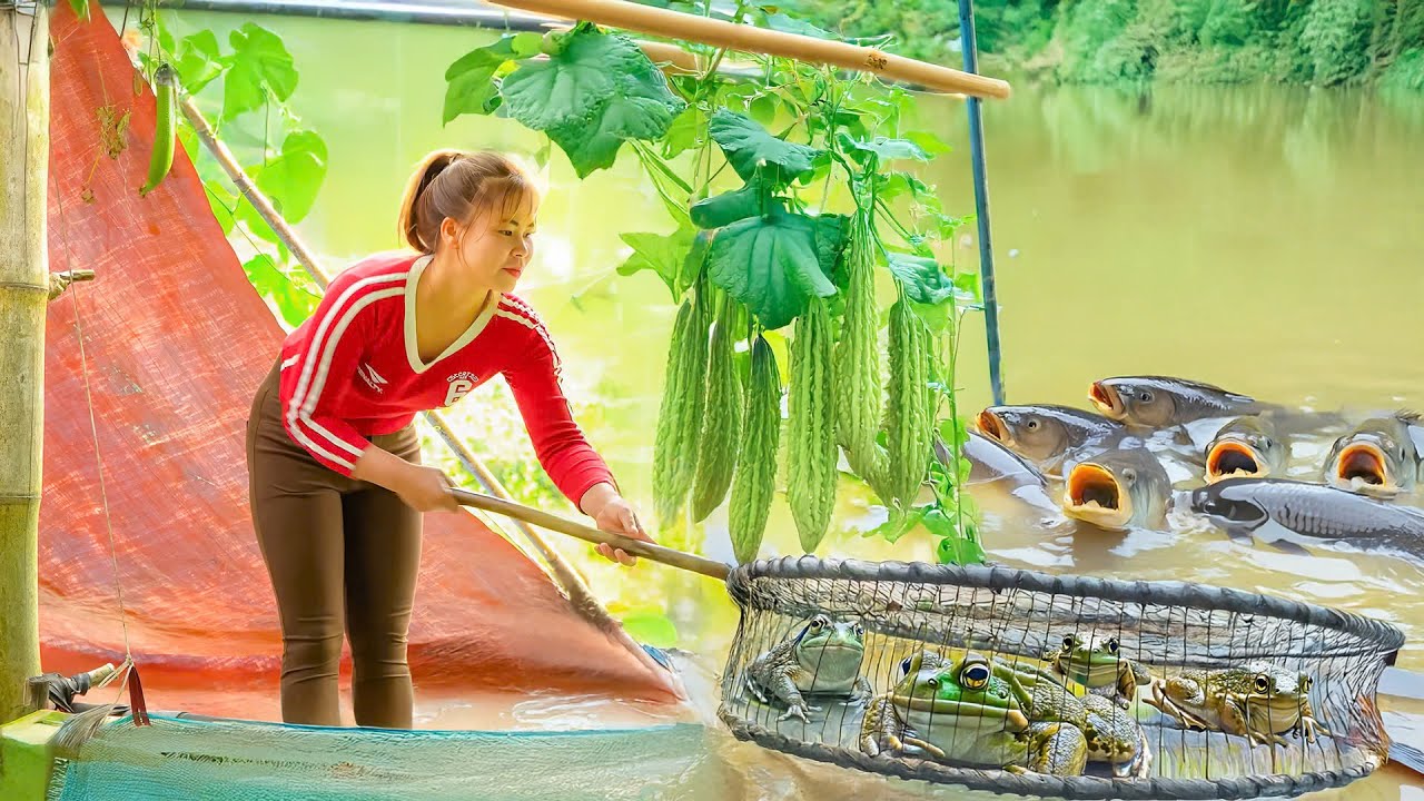 Harvesting Frogs - Crafting a Unique Horse Cart - Country Life - Farm ...