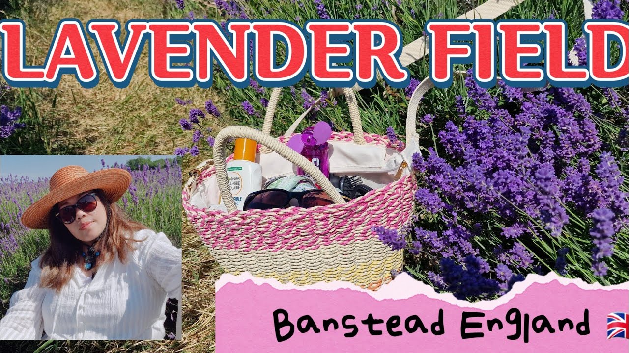Mayfield Lavender farm,Banstead England tour 💜 - YouTube