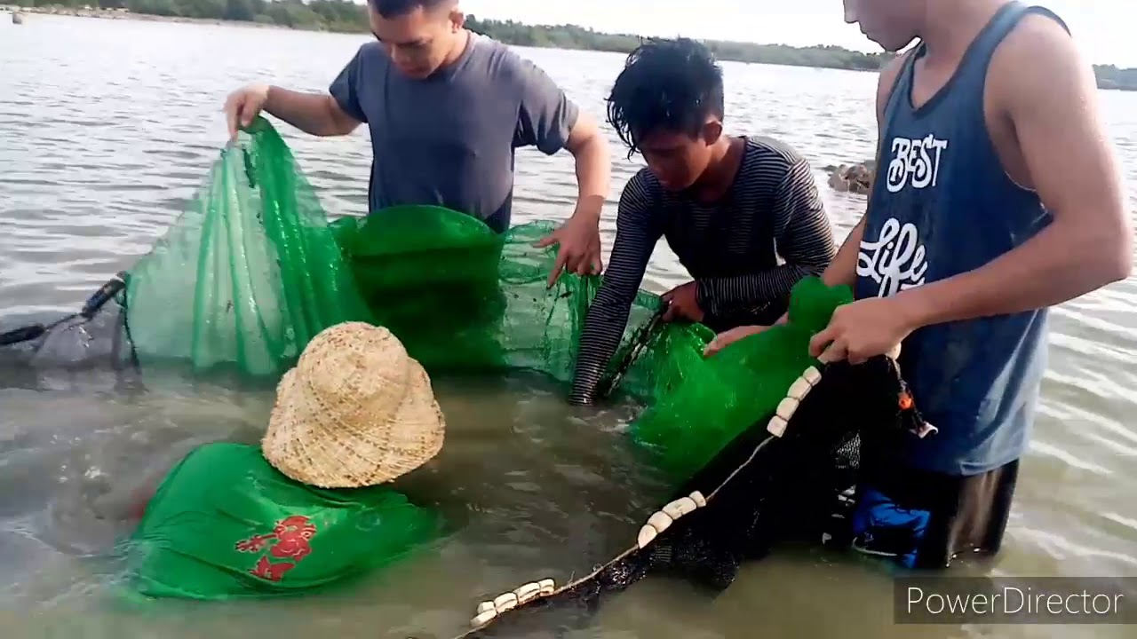 Another blessed day| wednesday fishing - YouTube