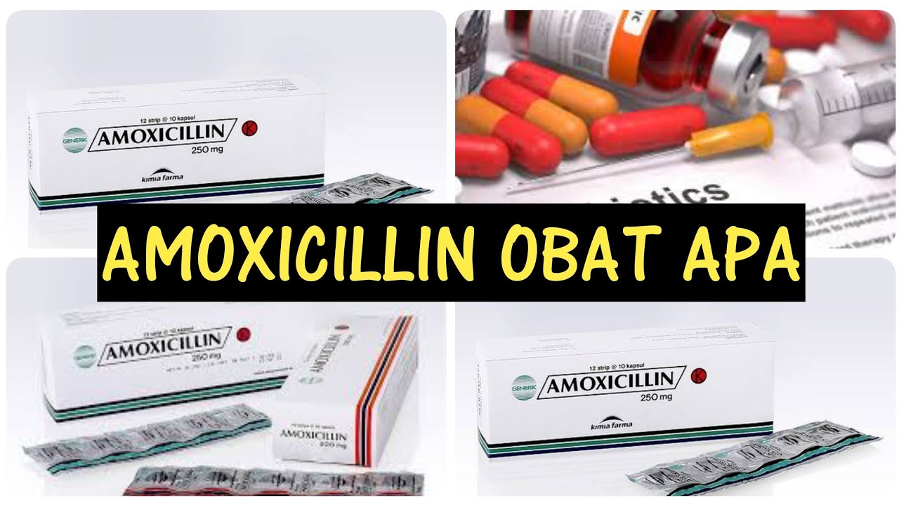 Amoxicillin trihydrate kaplet 500 mg obat apa - YouTube