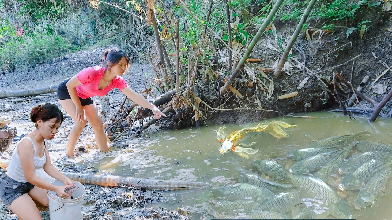 How to use bait to attract fish - Throw net to catch big fish - How to ...