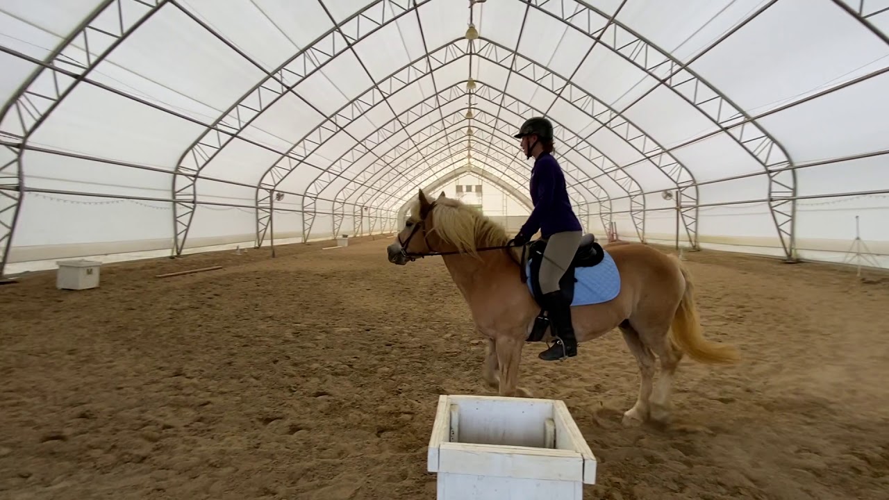 Audrey Skinner on Nickerson Training Level Test 3- Junior rider - YouTube