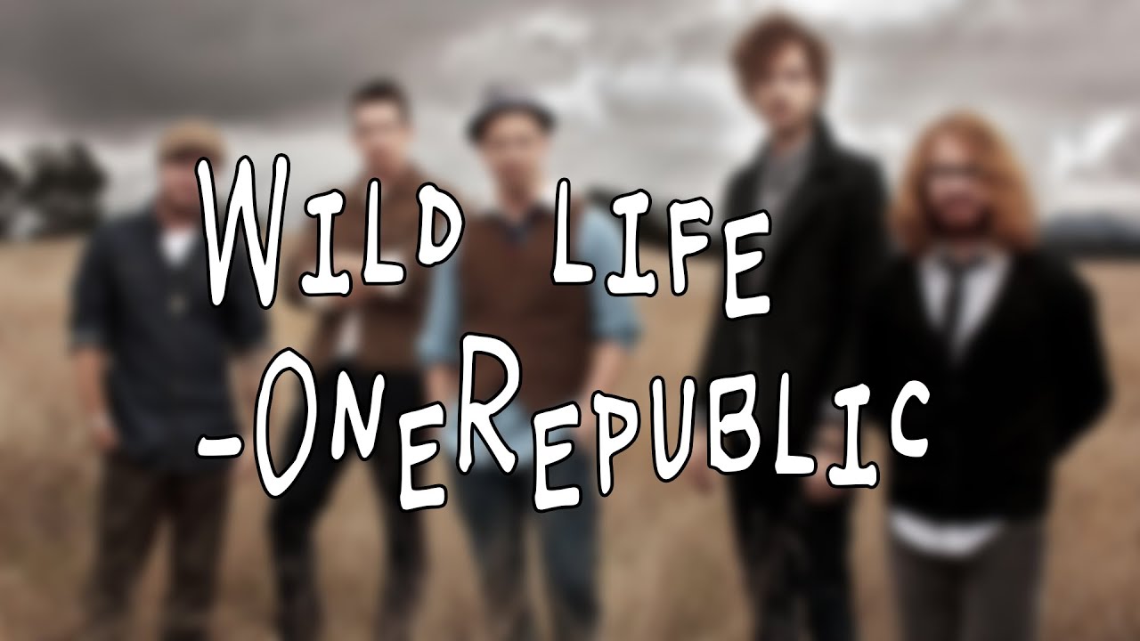 OneRepublic - Wild Life (Lyrics) - YouTube