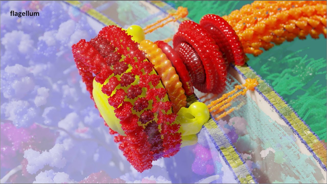 Smart Biology | LIFE Unit 1 | From Atoms to Cells | Demo - YouTube