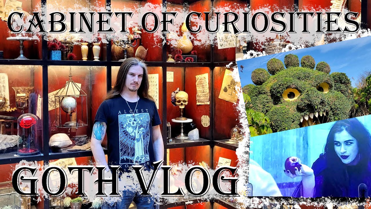 Goth Vlog: A Real CABINET OF CURIOSITIES, Spooky Season, CARNIVOROUS ...