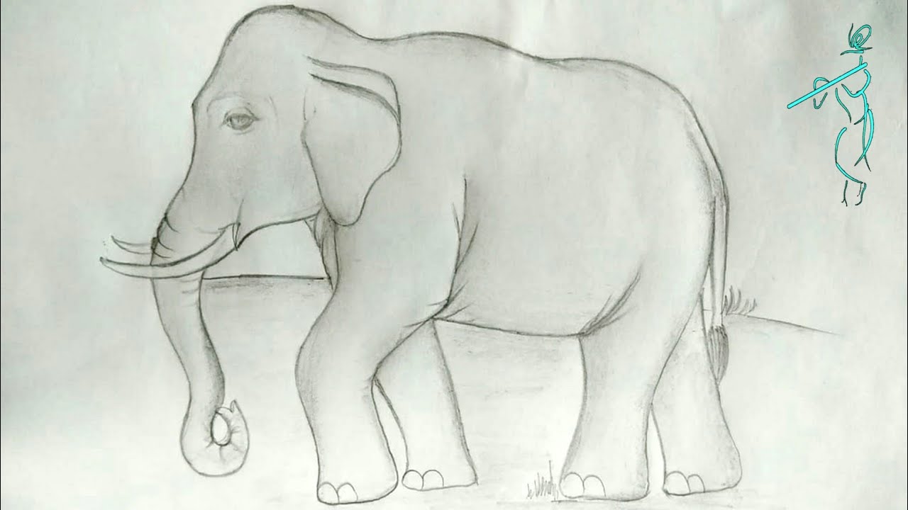 Very easy way to draw an elephant sketch || आसानी से हाथी का चित्र ...