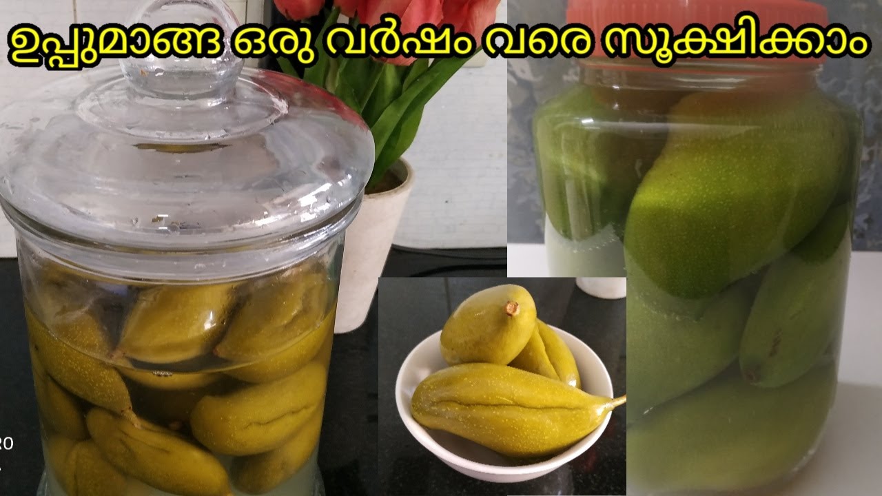 Uppumanga| ഉപ്പു മാങ്ങാ ഒരുവർഷം വരെ കേടാവില്ല ഇത് പോലെ ചെയ്താൽ|Manga ...