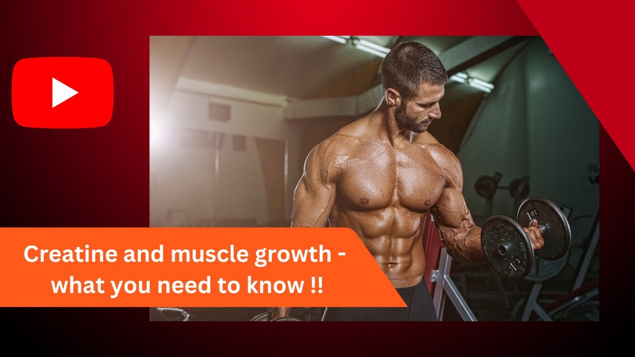 Creatine and (muscle growth) - what you need to know in 2023 @howtogym ...