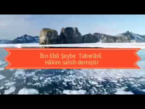 Hadisler ile namaz kılma şekli Rukuda tadili erkan
