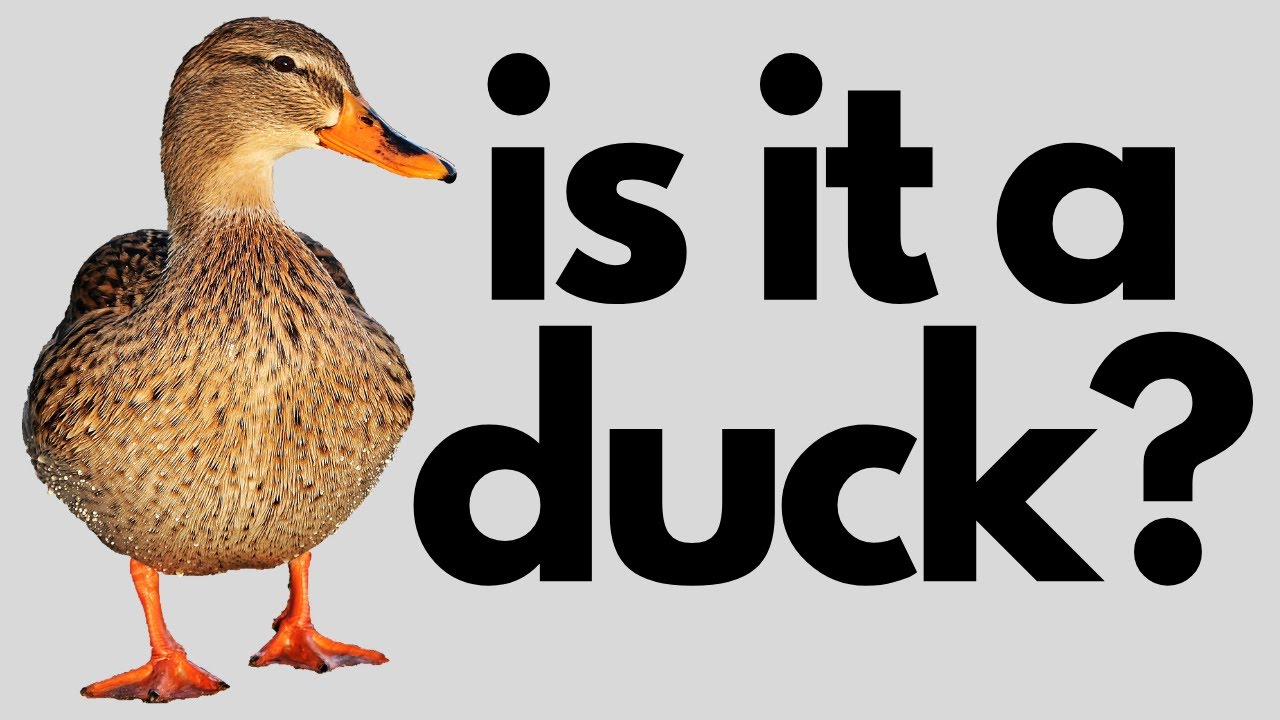 The Duck Test. How to make wise choices in a world full of cultural ...