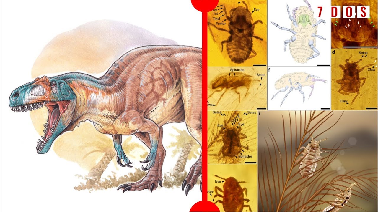 Important New Dinosaur Discovered & Dinosaur Feathers Preserved with ...