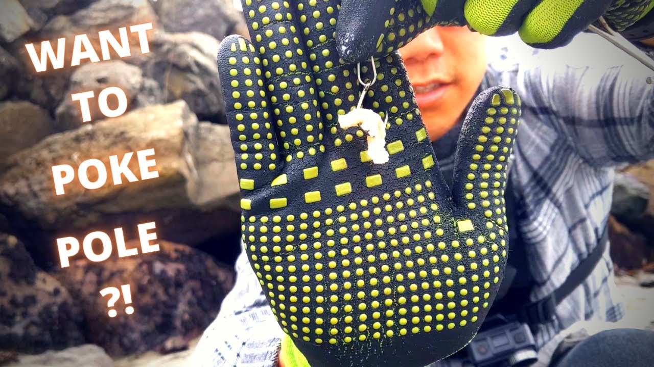 Poke Pole 101 - The BASICS You Need to Know to Start Poke Poling - YouTube