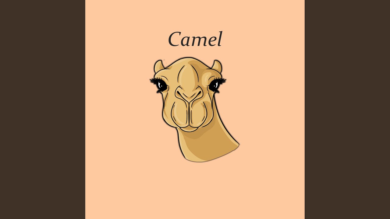 Camel - YouTube