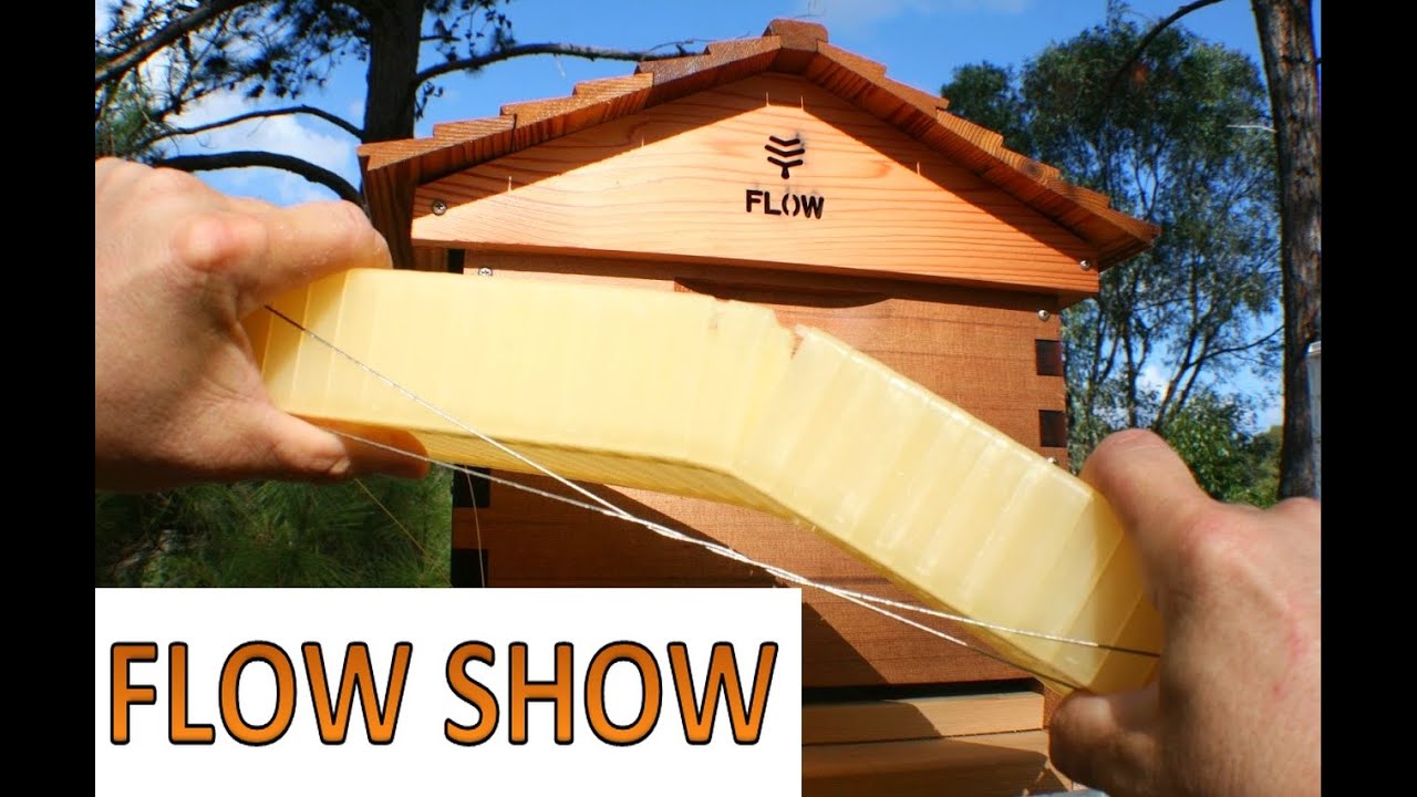 FLOW hive beehive practical review beekeeping 101 - YouTube