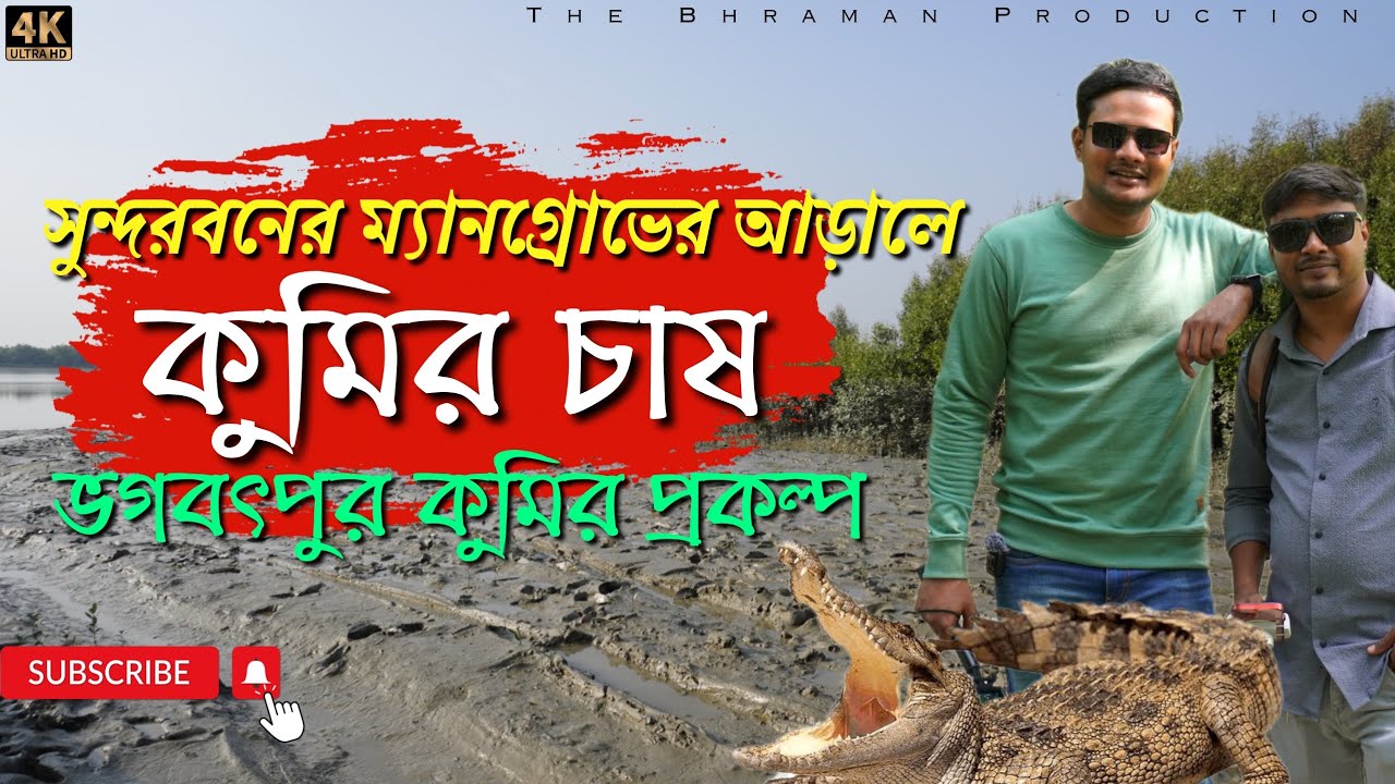 The Story Behind Bhagabatpur Crocodile Project | ভগবতপুর কুমির প্রকল্প ...