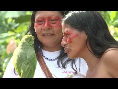 The Waorani Women of the Amazon, Ecuador