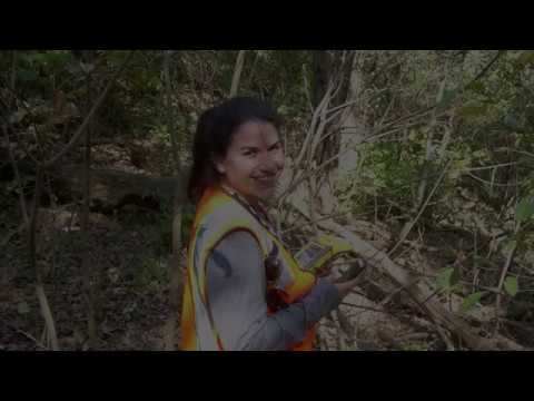 Women's History Month Staff Profile - Ruth Hook (2019) - YouTube