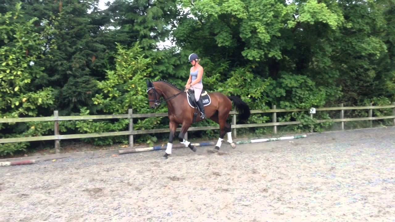 Timmy Flat 2 - YouTube