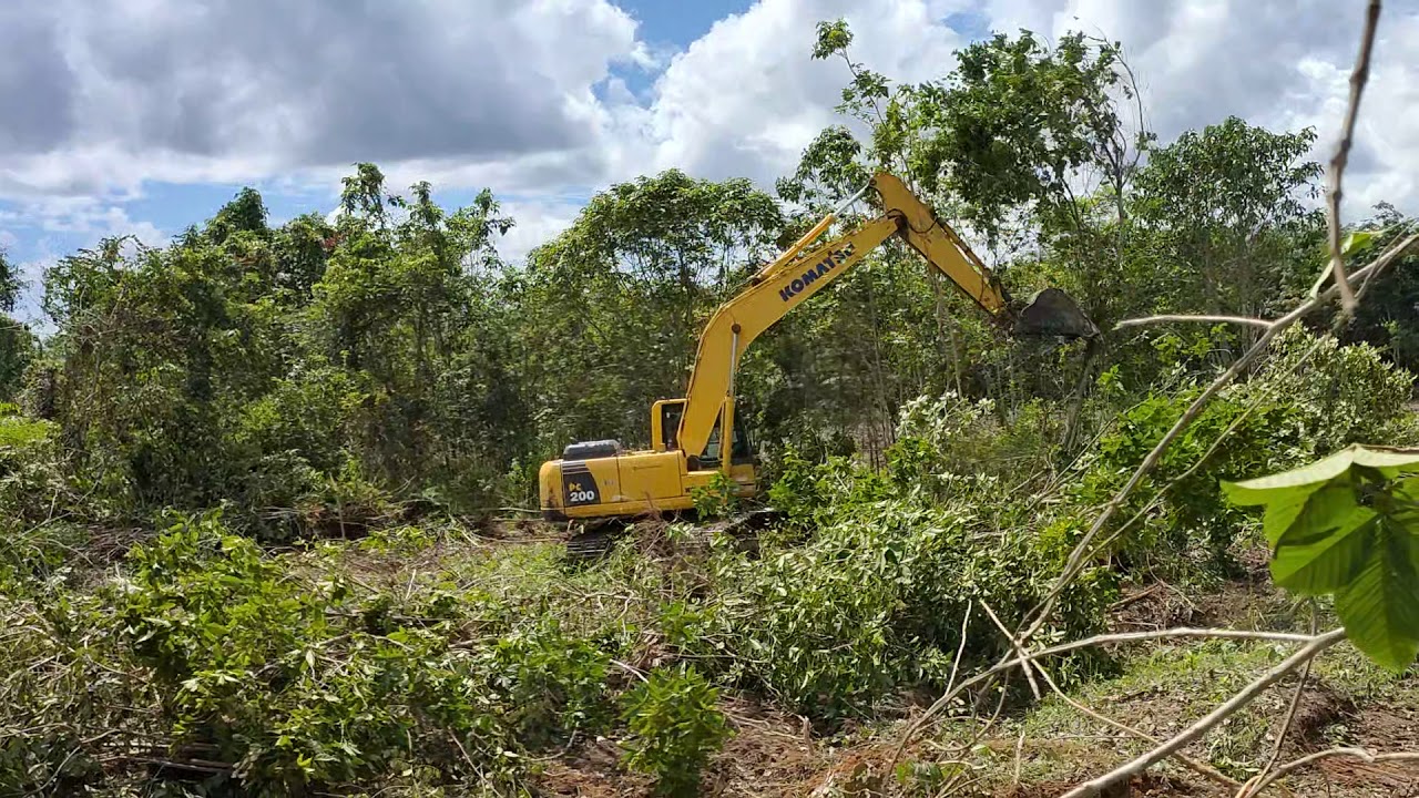 Pembukaan Lahan Untuk KELAPA SAWIT, Menggunakan Excavator "KOMATSU ...