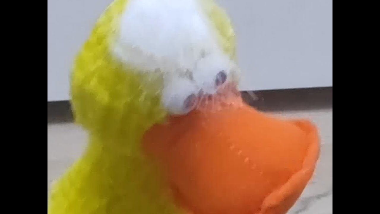 Crazy Ducc Meme (ORIGINAL) - YouTube