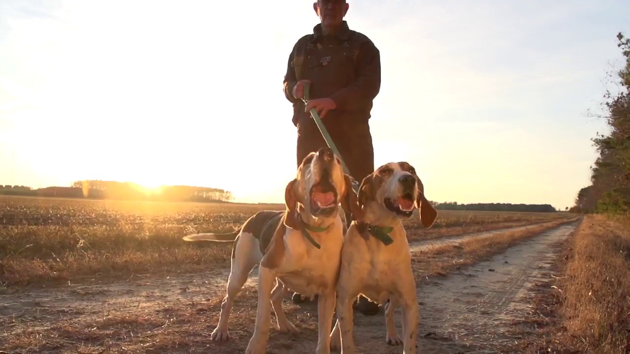 The Houndsmen Pilot - YouTube