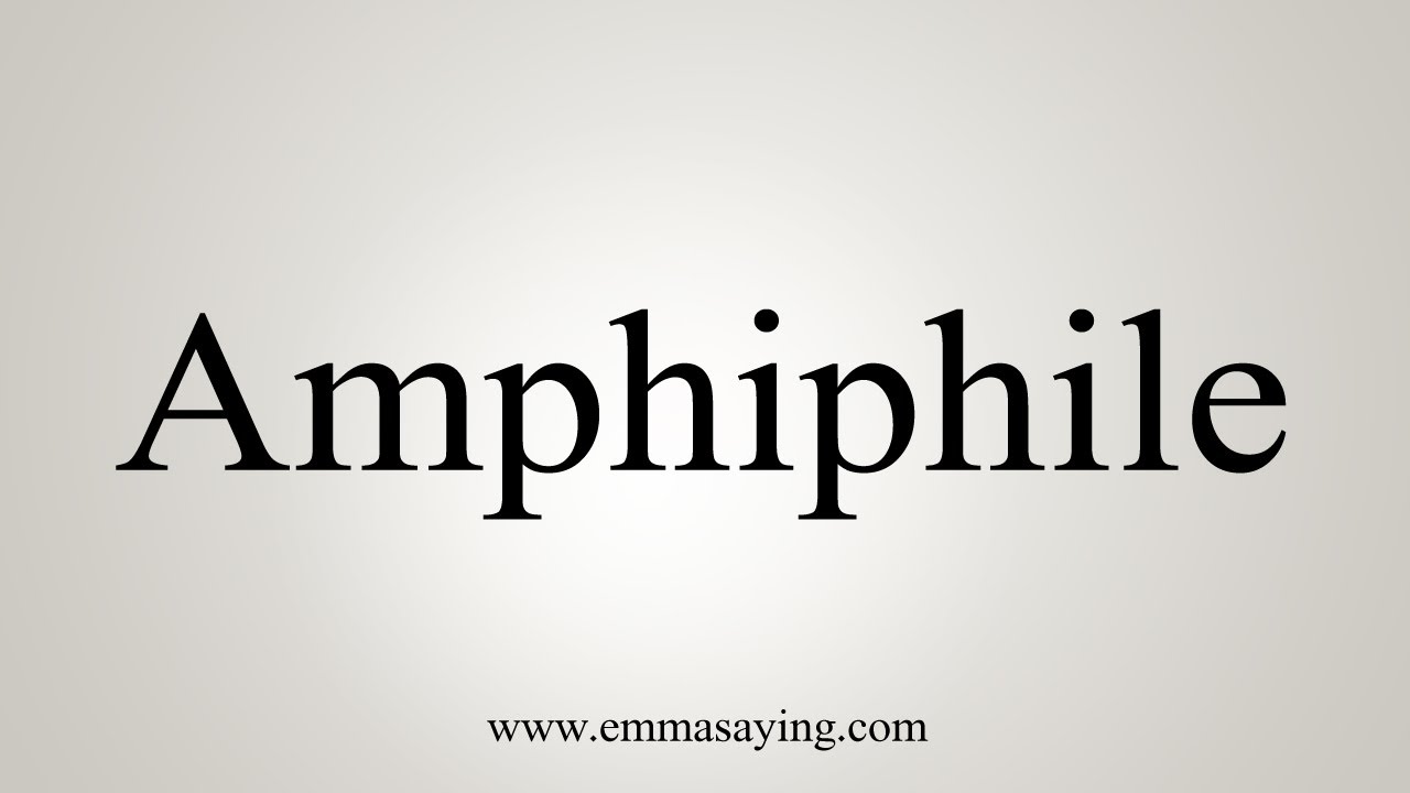 How To Say Amphiphile - YouTube