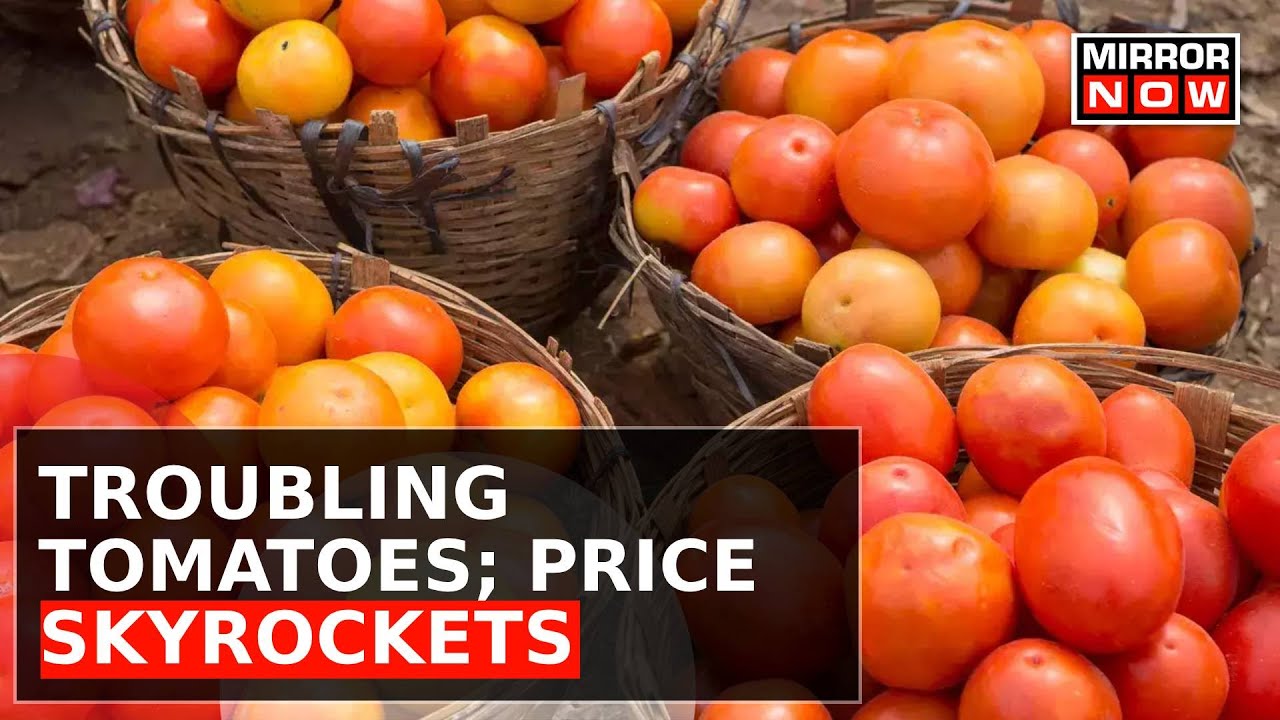 Tomato Prices Reach Record High, Middle-Class Faces The Heat | Mirror ...