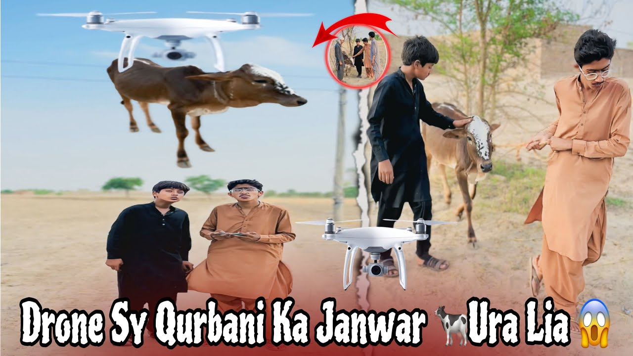 Drone Sy Qurbani Ka Janwar Ura Lia 😱 Funny Video Team Mudasar Ali - YouTube