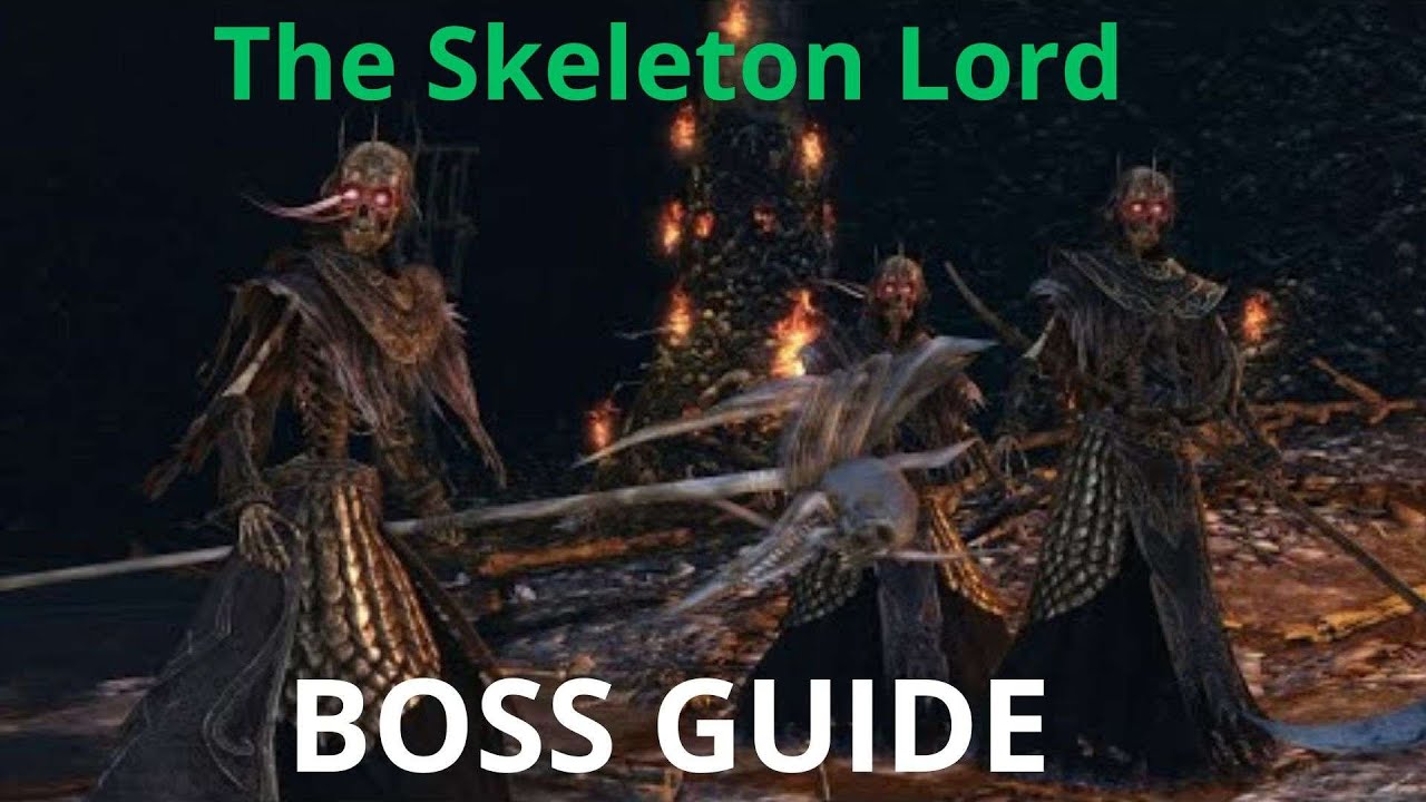 Dark Souls 2 | SOTFS BOSS GUIDE | Skeleton Lords - YouTube