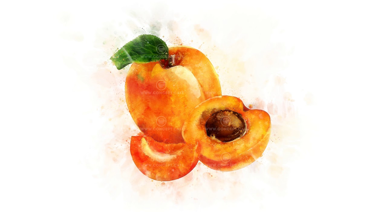 Animation of Apricot on the alpha channel - YouTube