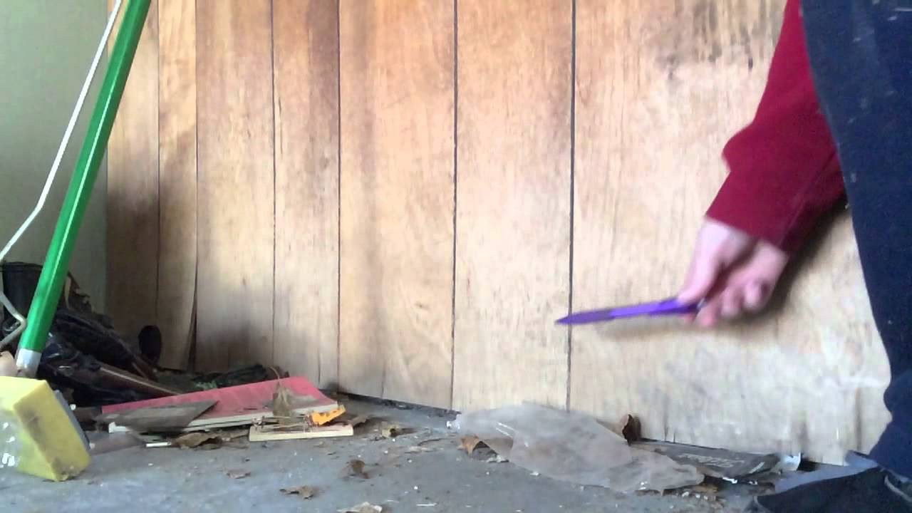 mouse trap in slo mo - YouTube