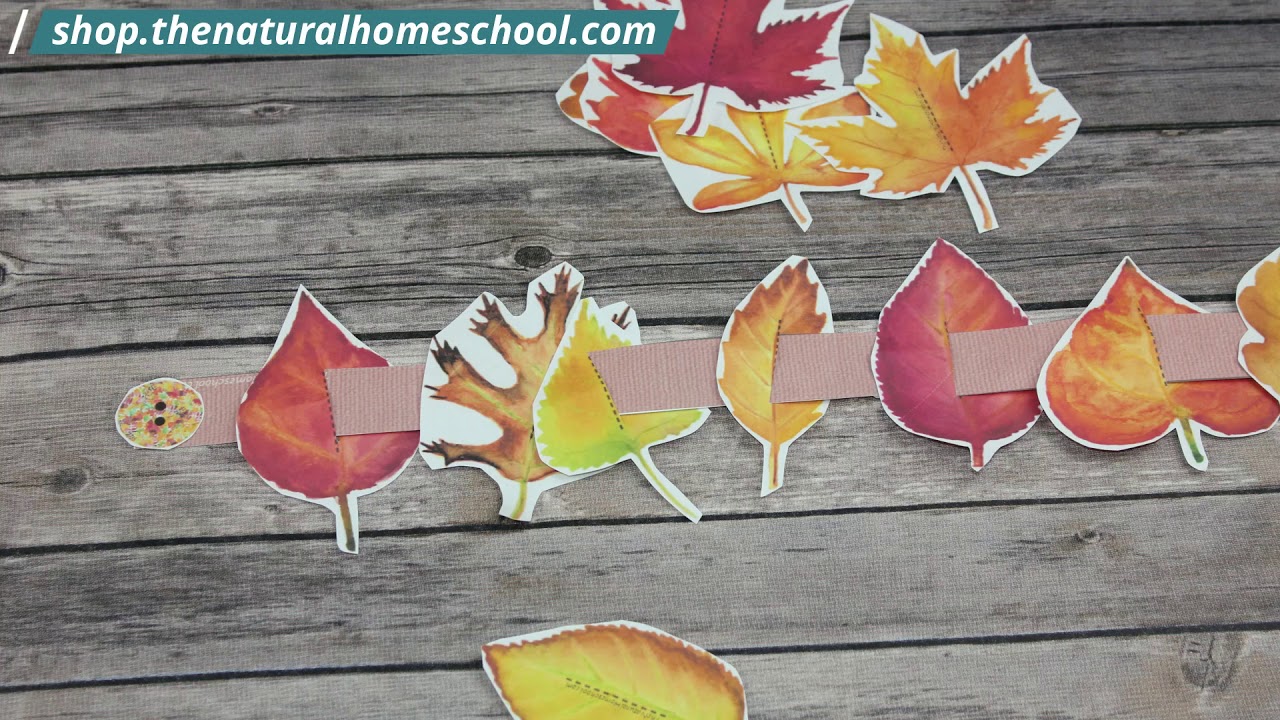Montessori Fall Printable Bundle ~ 10 Activities - YouTube