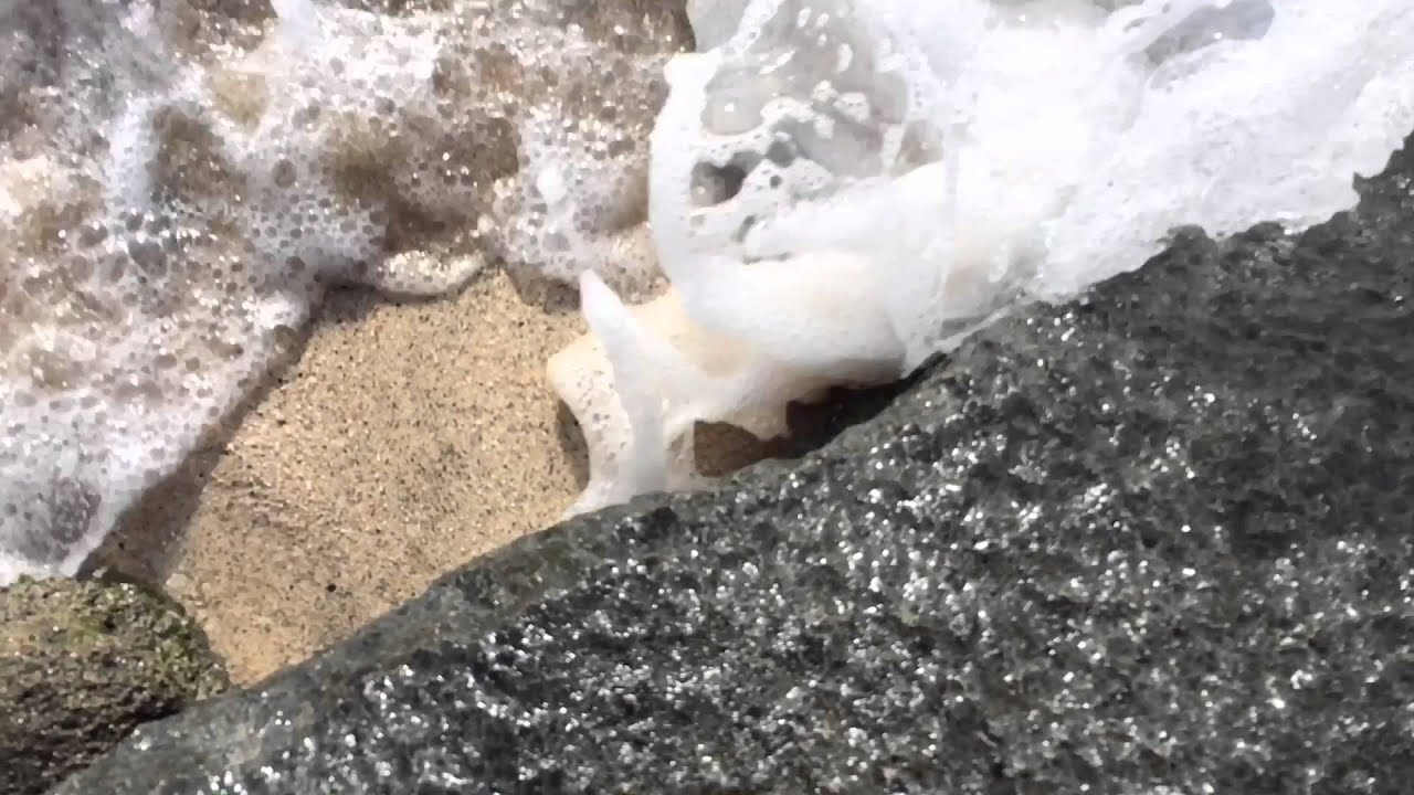 Wave crashing against a rock taken from up high in slow motion - YouTube