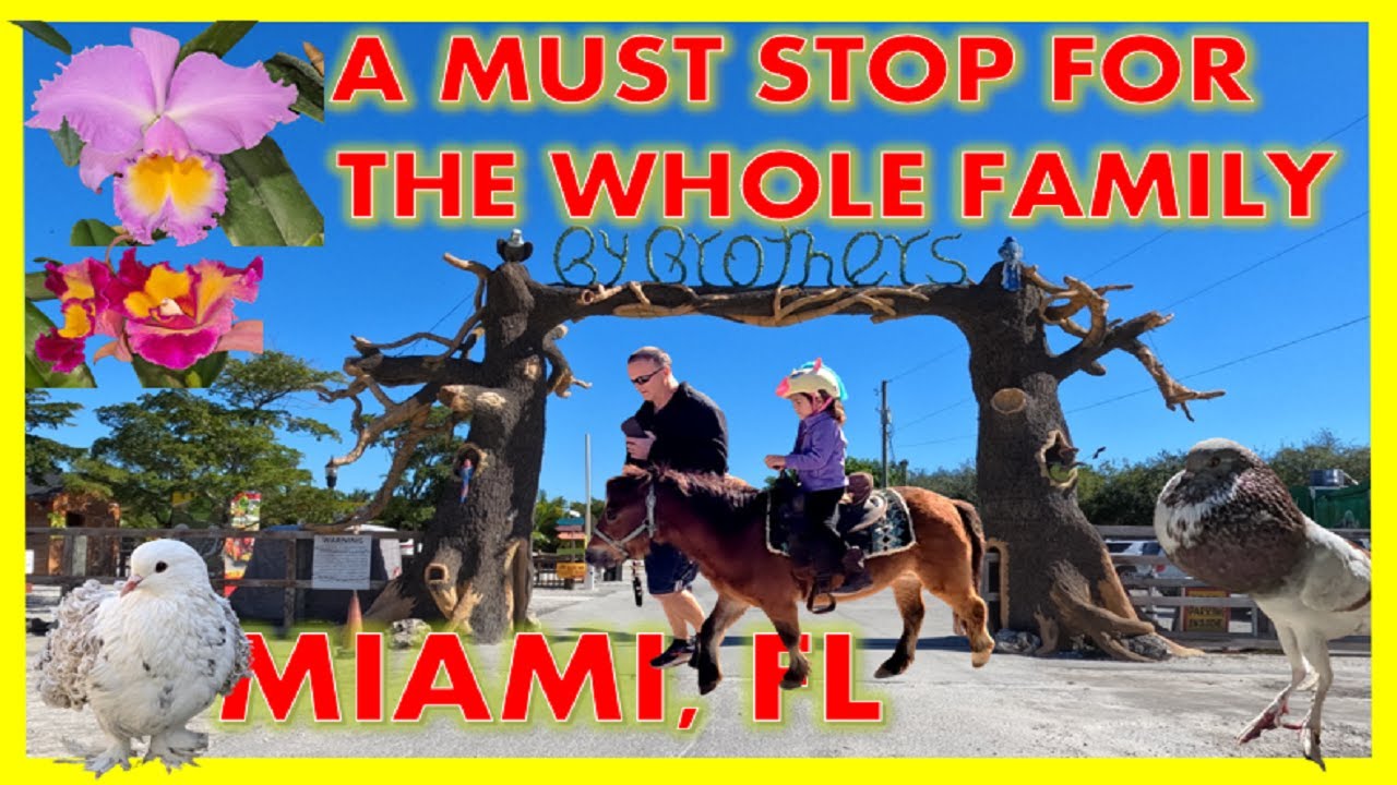 By Brothers Farm in Miami: A Family Adventure with Wildlife, Rides ...