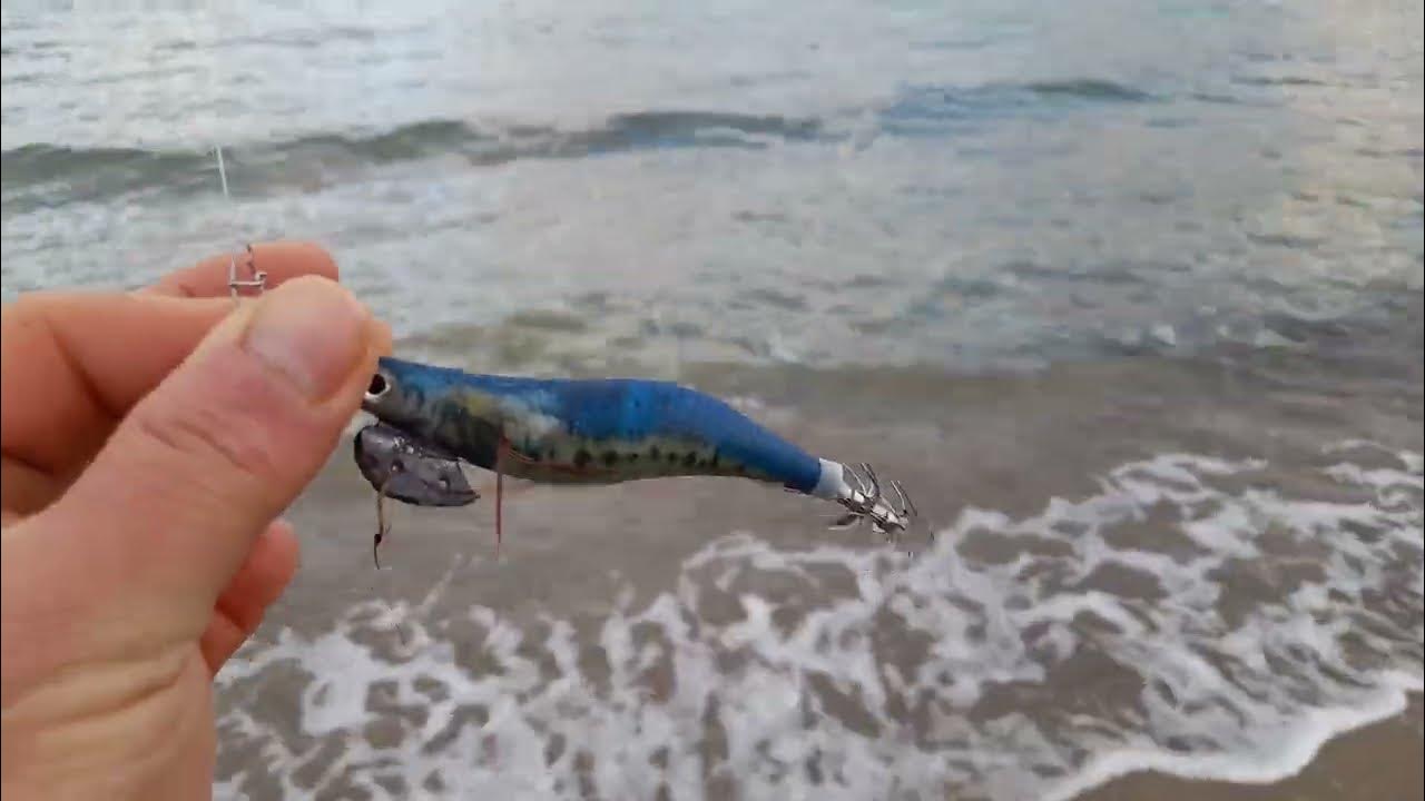 Eging a seppie e calamari: come tarare perfettamente la frizione! Da riva, barca, kayak, belly ...