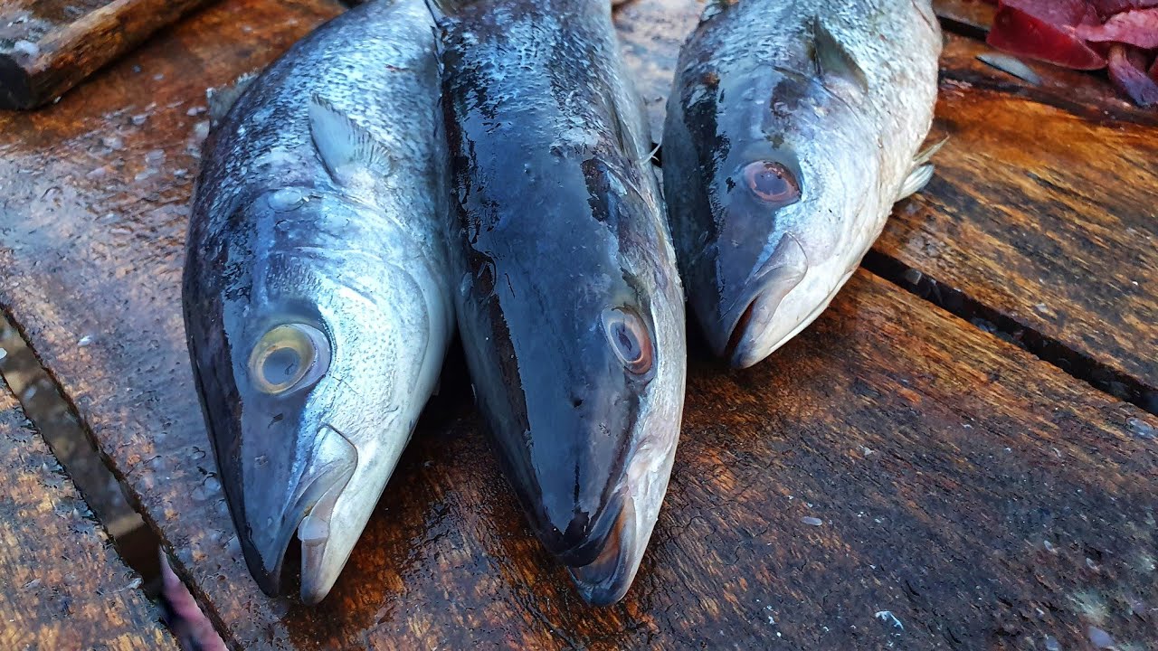 Rainbow Runner Fish Cutting Skills | Fresh Fish Cutting Skills - YouTube