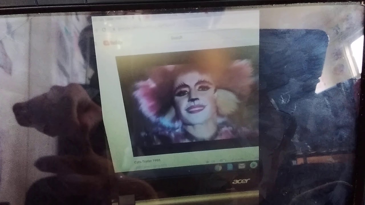 Opening To Kipper The Dog: Pools Parks And Picnics 1998 VHS - YouTube