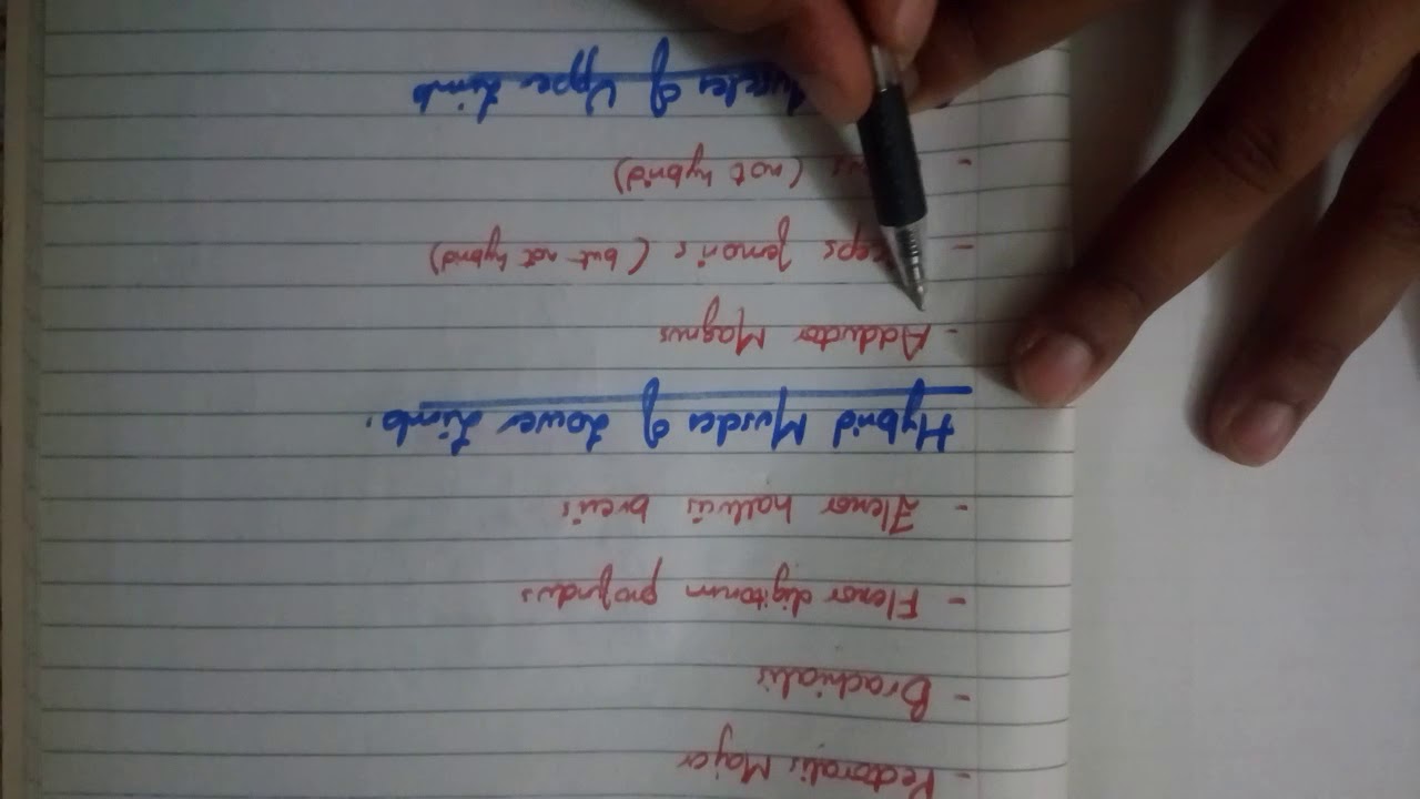 HYBRID and SHUNT muscles of limbs MUST WATCH - YouTube